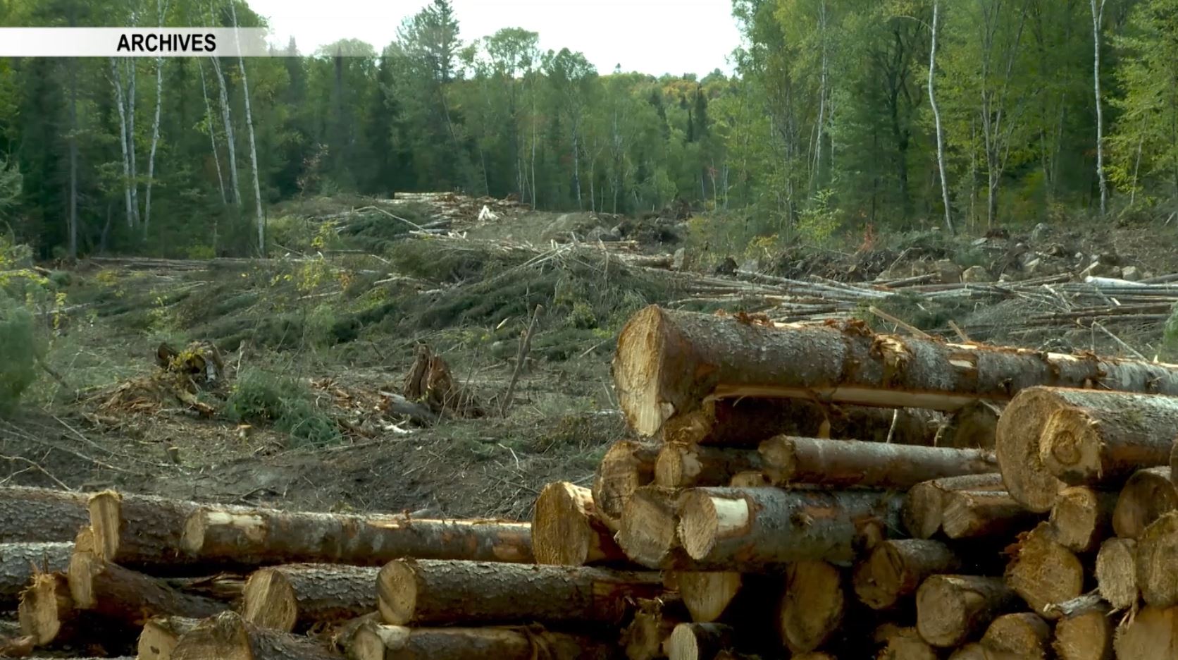 Les entreprises forestières menottées par les feux de forêt - TVA Abitibi-Temiscamingue