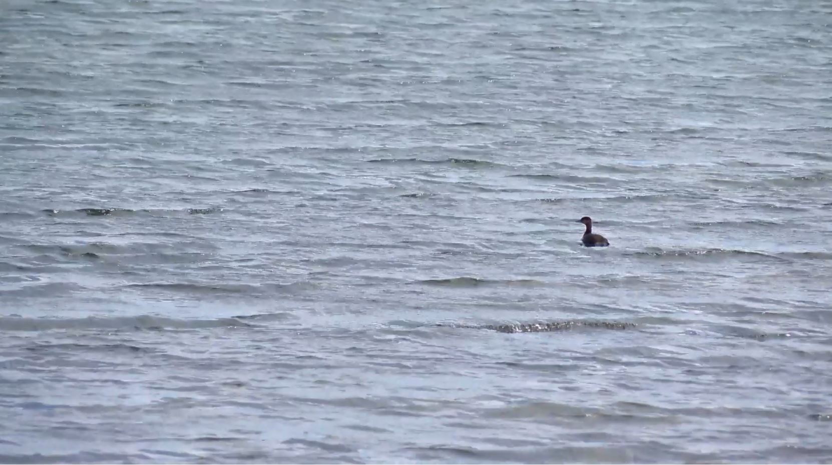 Noyades : Week-end tragique en Abitibi-Témiscamingue - TVA Abitibi ...