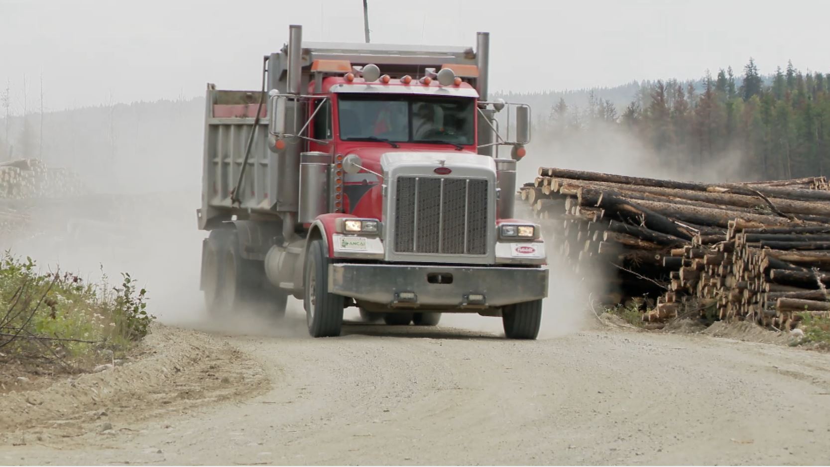 Normétal : Immersion sur le chantier de récolte du feu 281 - TVA ...